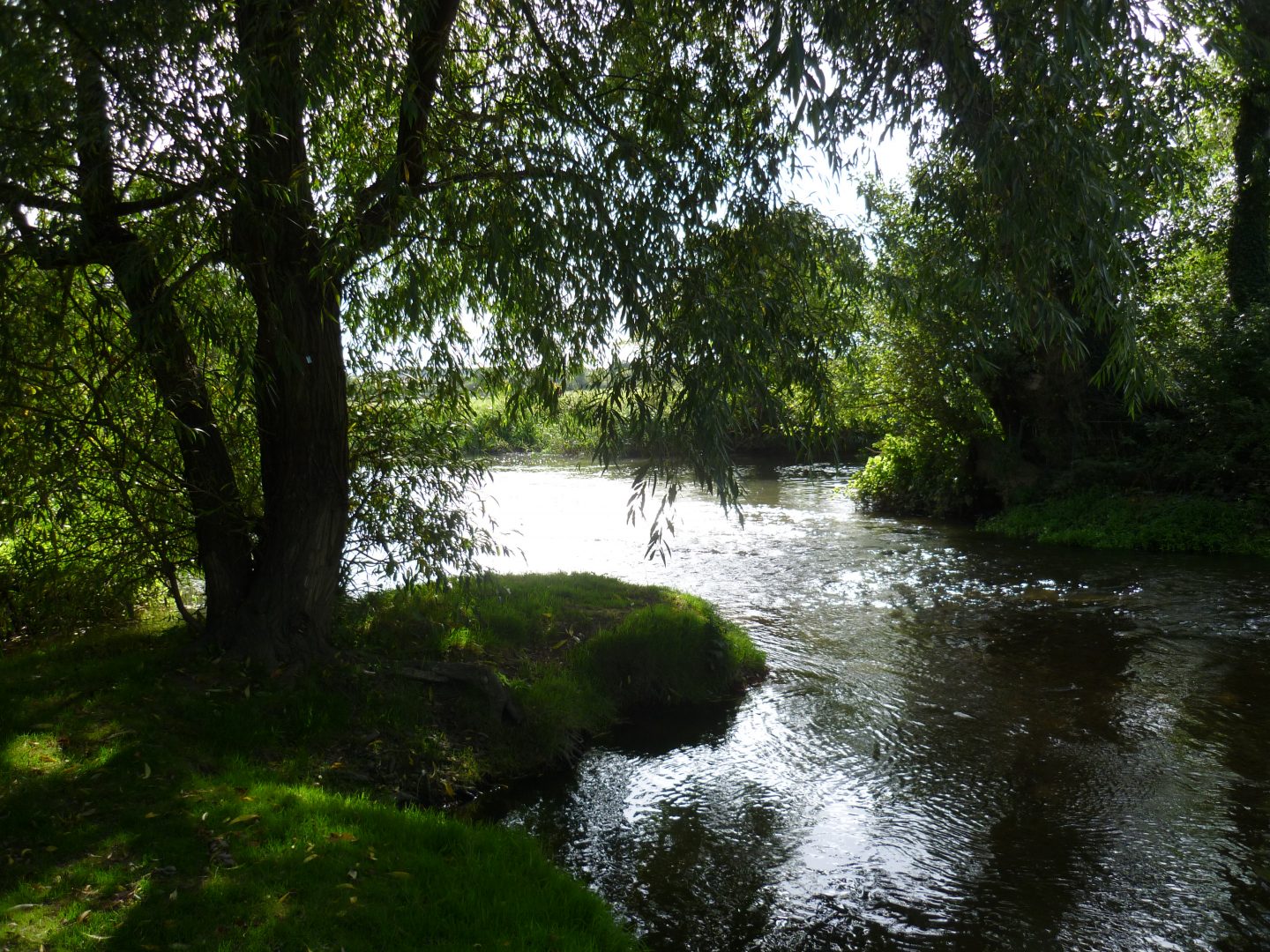 Walks from Harrold-Odell Country Park - CPRE Bedfordshire