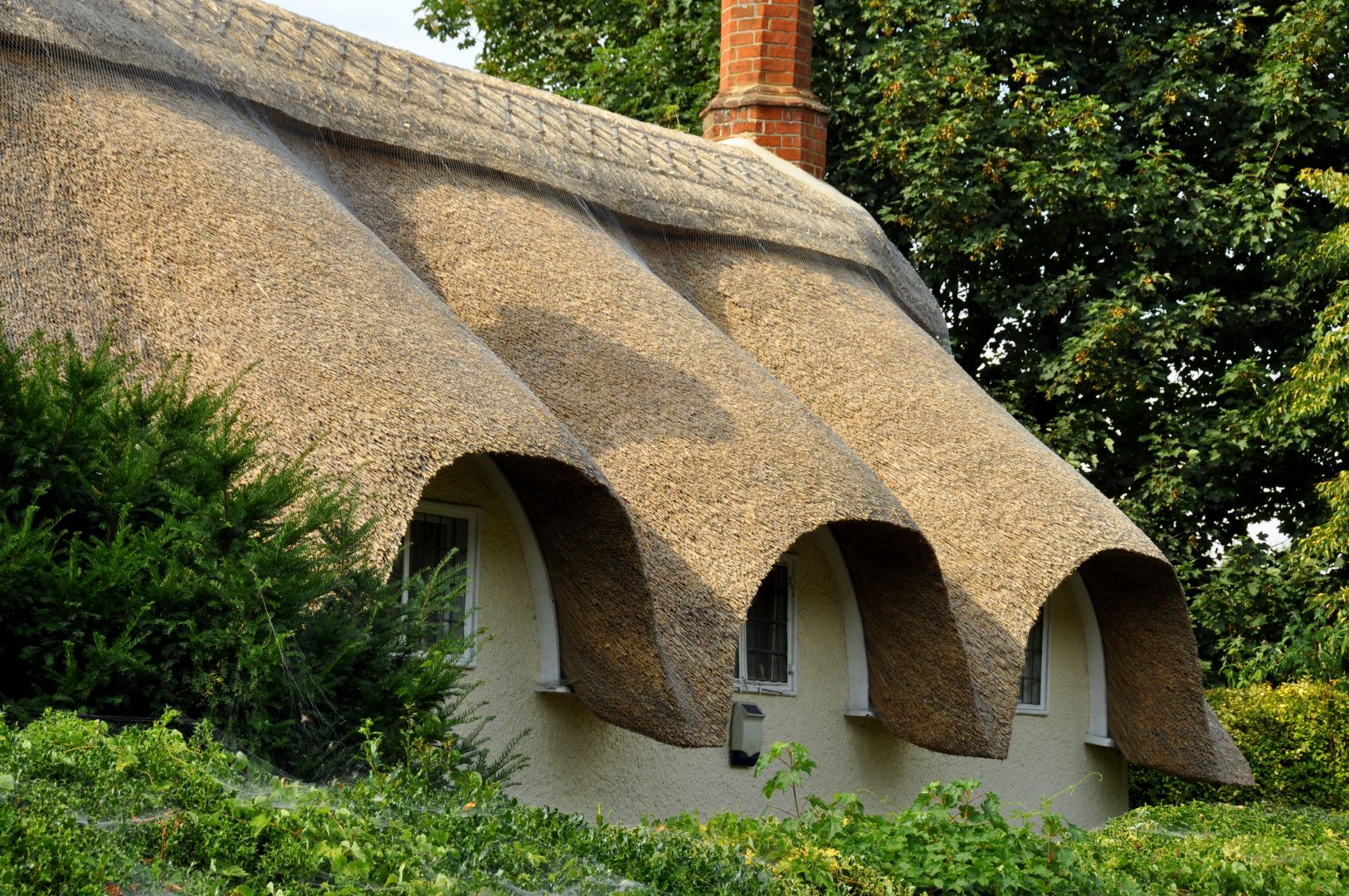 Living Countryside Awards 2023 – the walks - CPRE Bedfordshire