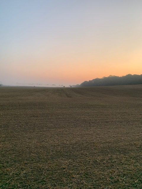 Save Steppingley Road Field - CPRE Bedfordshire