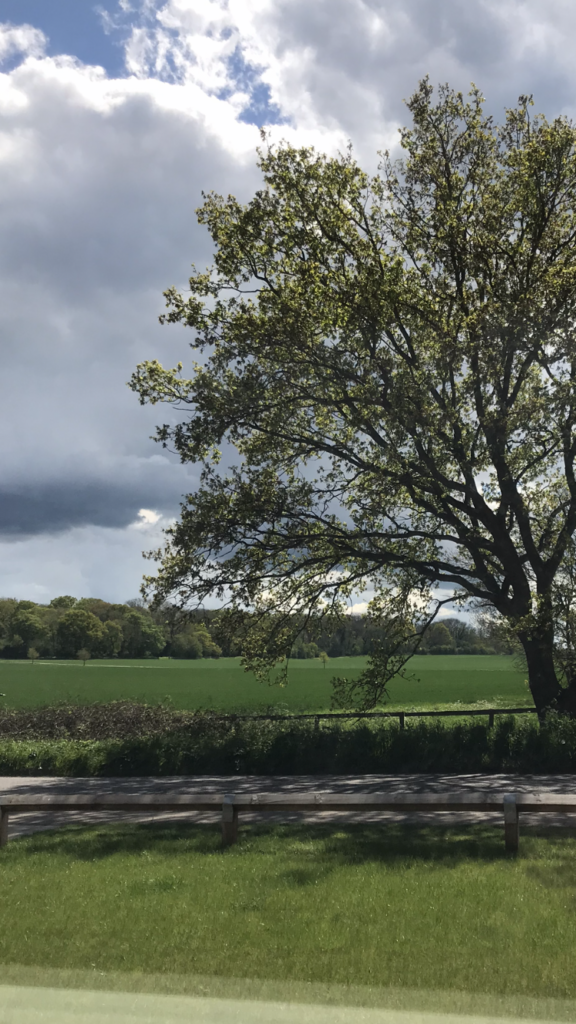 Save Steppingley Road Field - CPRE Bedfordshire