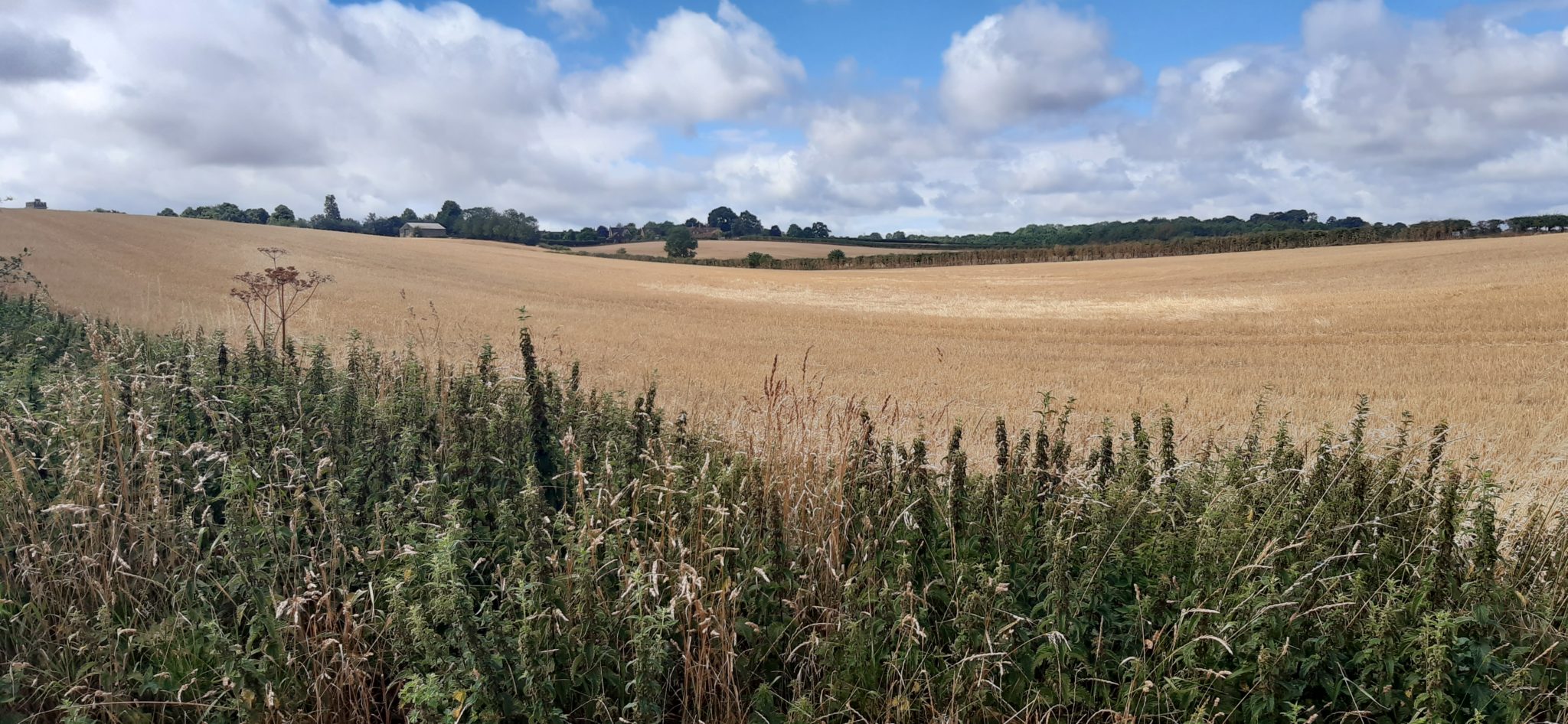 Discover: Flitwick to Steppingley - CPRE Bedfordshire