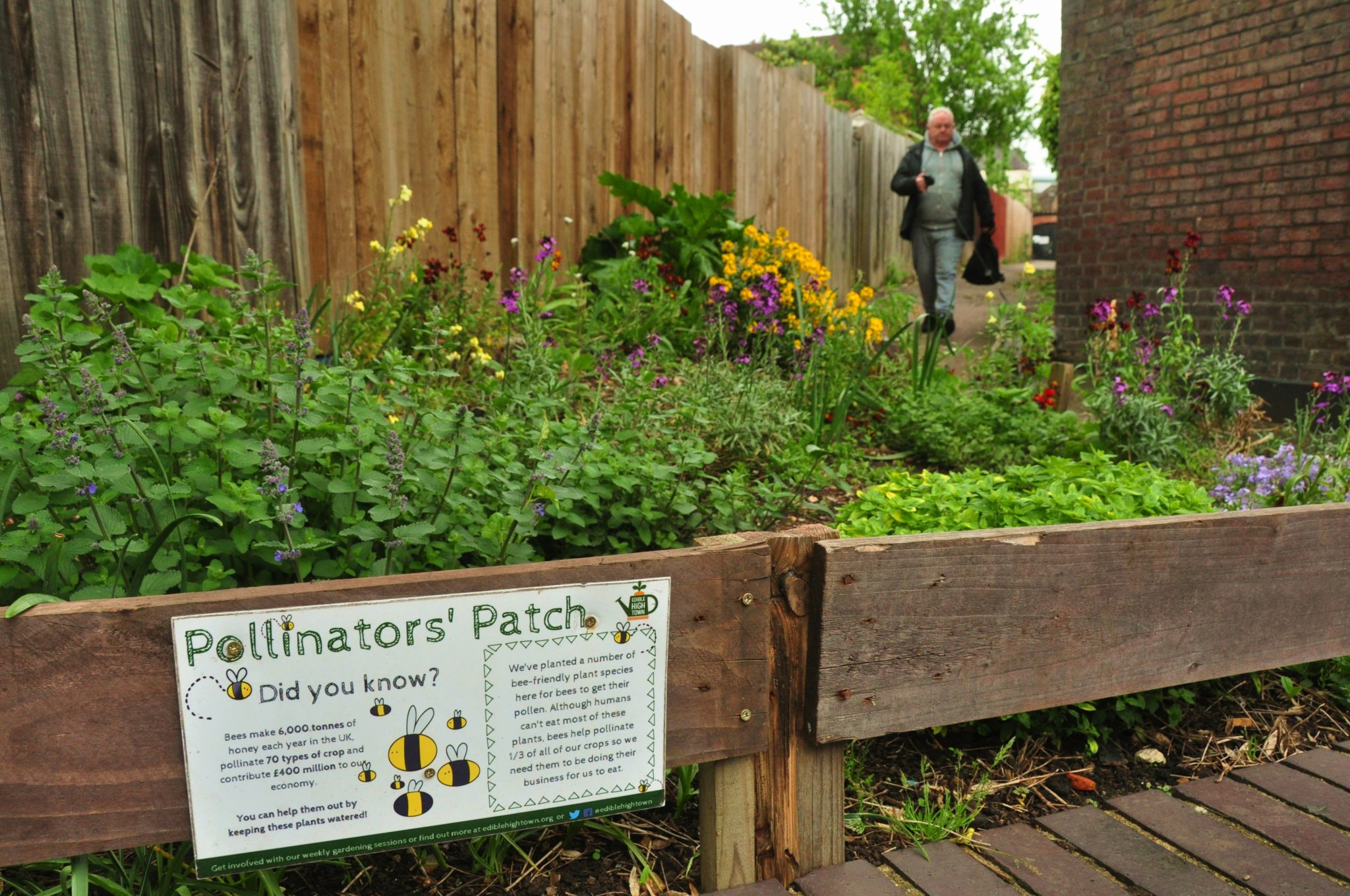 Photo essay - wildflowers and the Living Countryside Awards - CPRE ...