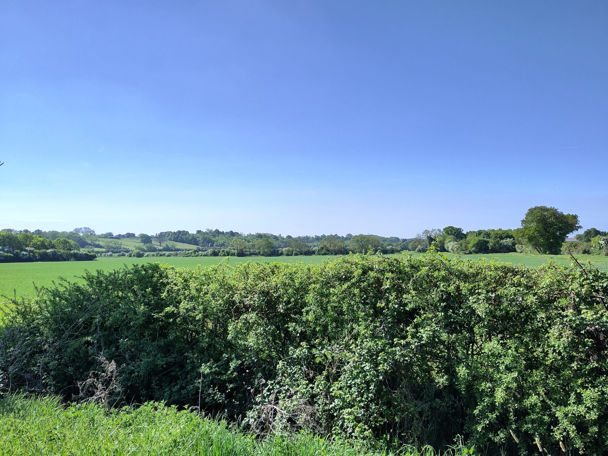 Discover: Tempsford and nearby villages - CPRE Bedfordshire