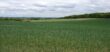 National Day of Action 18th April 2026 - CPRE Bedfordshire
