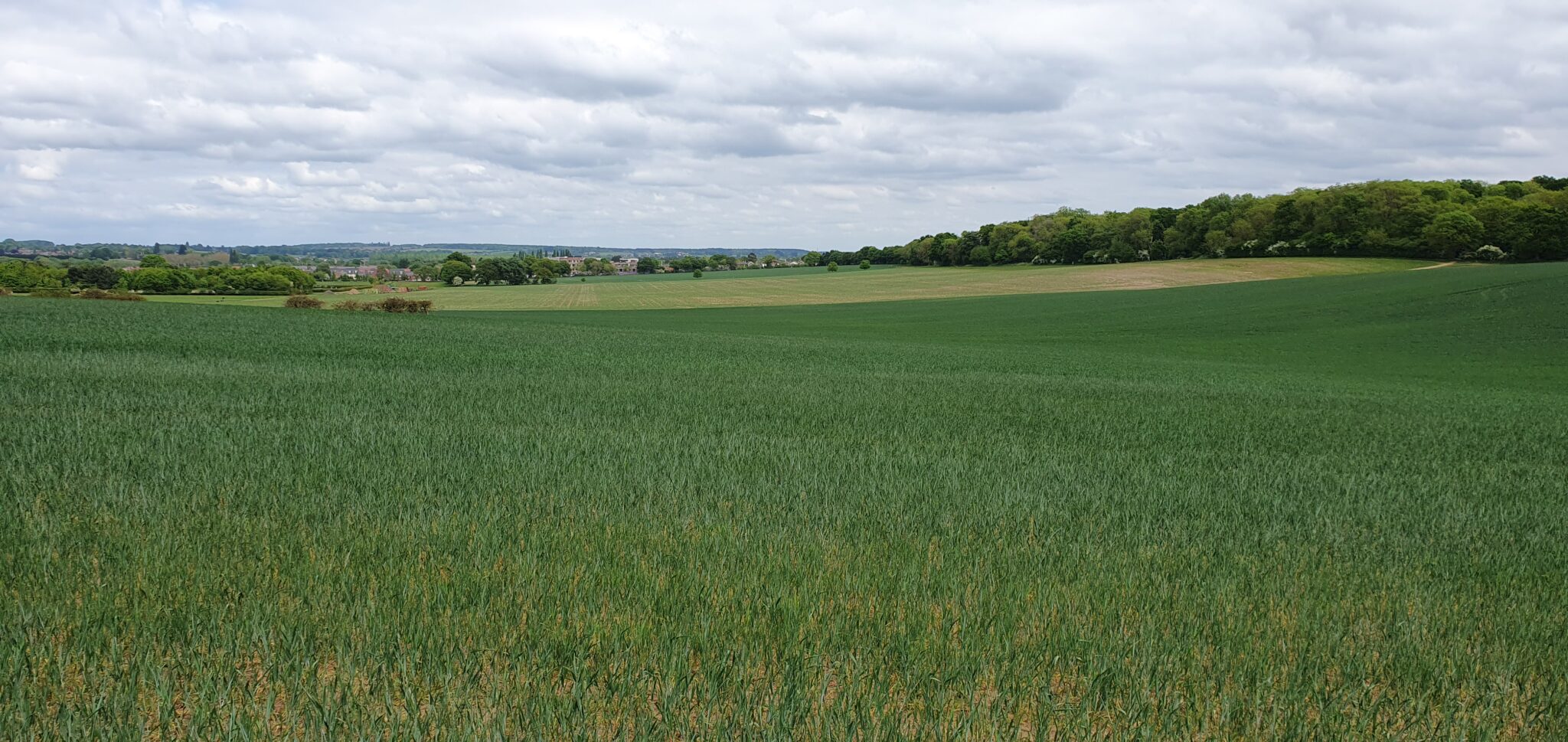 National Day of Action 18th April 2026 - CPRE Bedfordshire