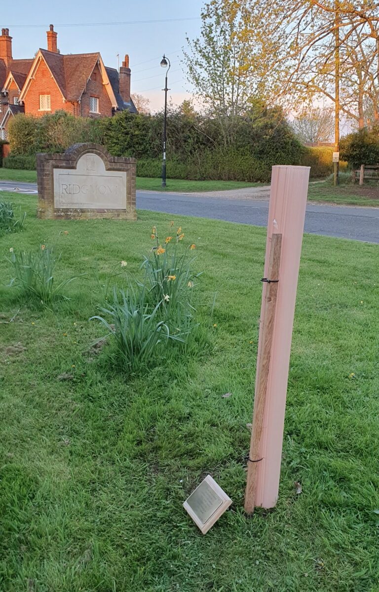 Celebratory Oak Tree Planting - CPRE Bedfordshire