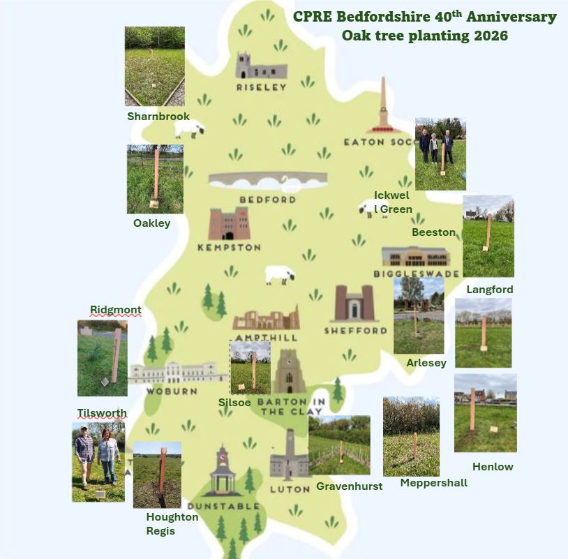 Celebratory Oak Tree Planting - CPRE Bedfordshire
